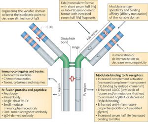 Wecomput Technology Co., Ltd.